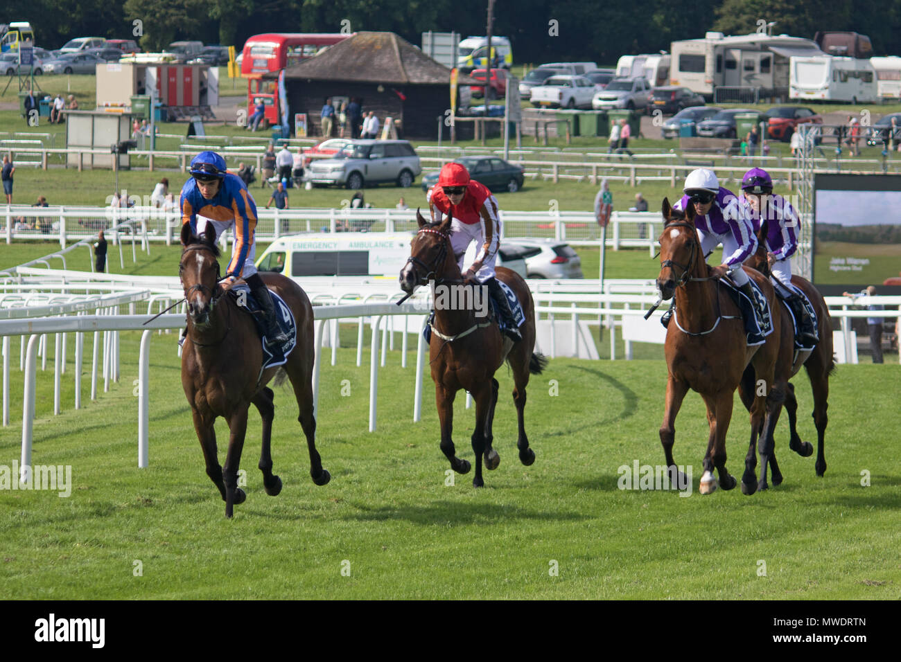 Donnacha hi-res stock photography and images - Alamy
