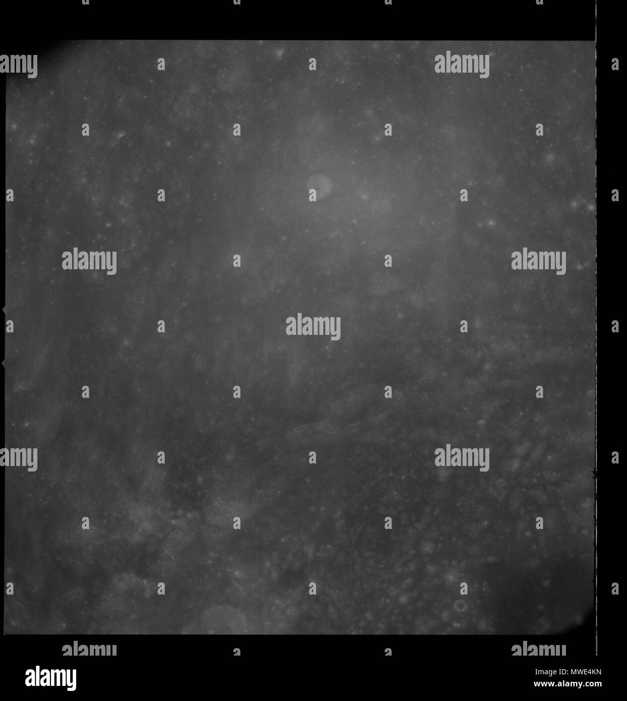 Apollo 8 mission. Lunar orbit showing texture topography and craters on ...