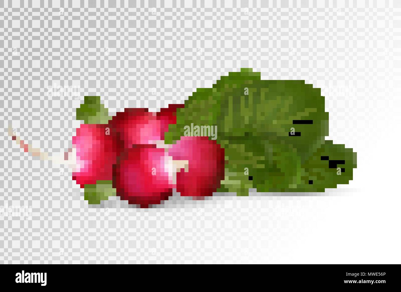 Grope of photo realistic radishes with leaf on a transparent background ...
