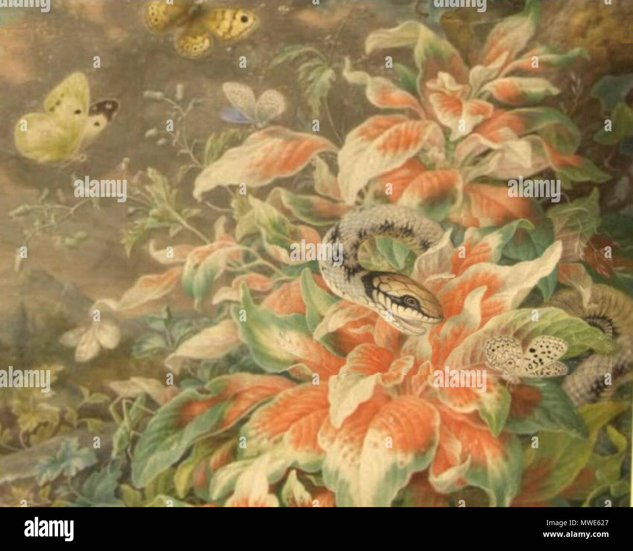 Herman henstenburg hi-res stock photography and images - Alamy