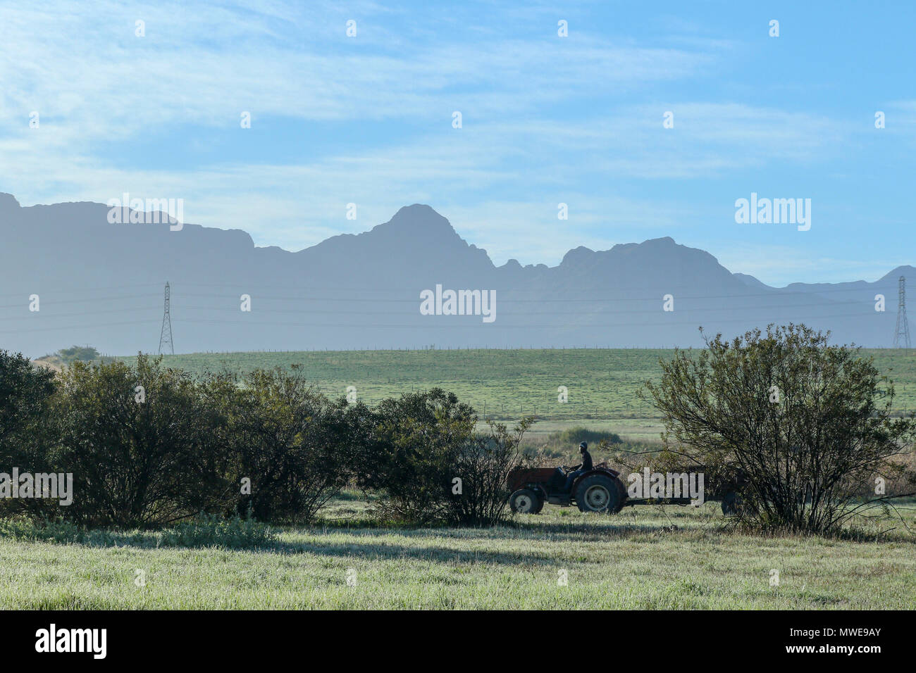 Grassland farm landscape, Stellenbosch, garden route, south africa ...