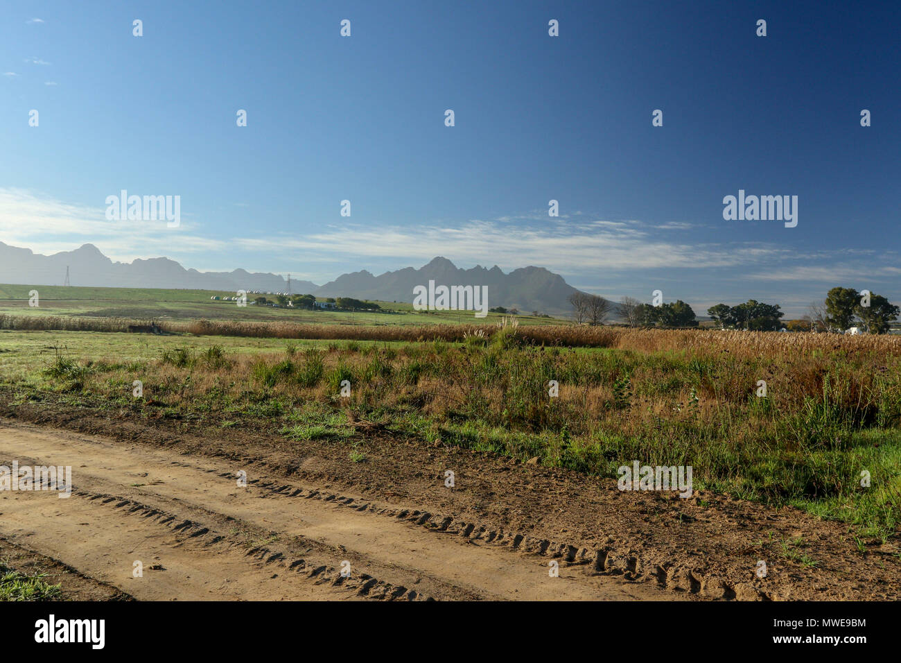 Grassland farm landscape, Stellenbosch, garden route, south africa ...