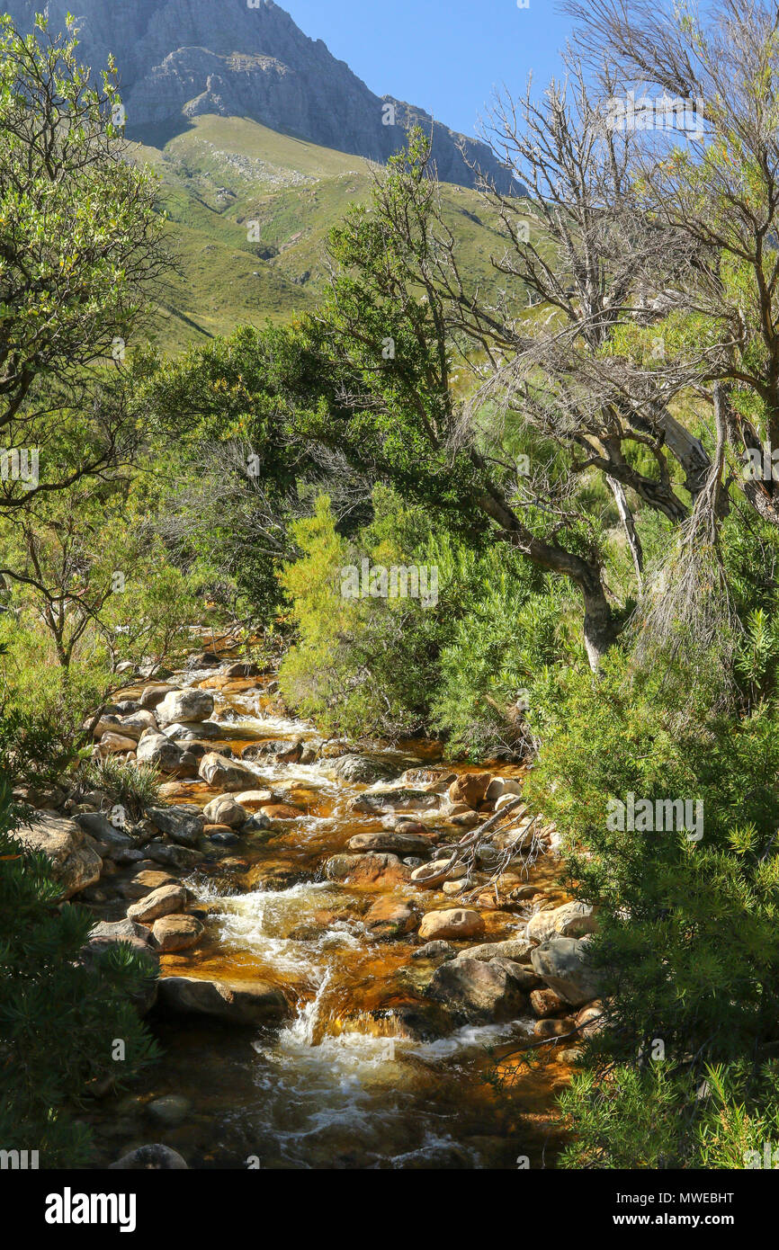 Waterval nature reserve hi-res stock photography and images - Alamy