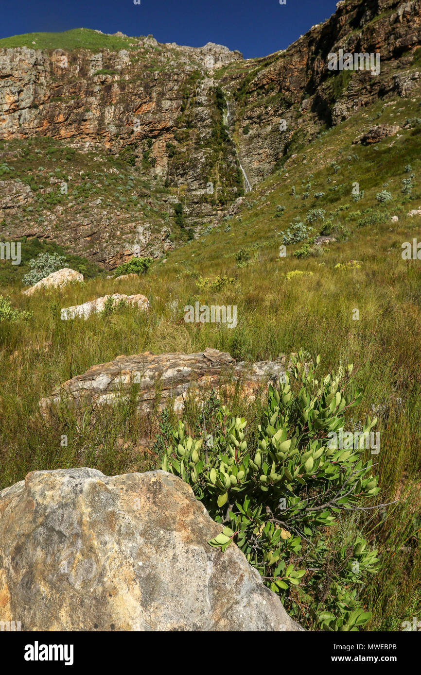 Ribbon waterfall in the sunshine from the Tweede Waterval hike in the ...