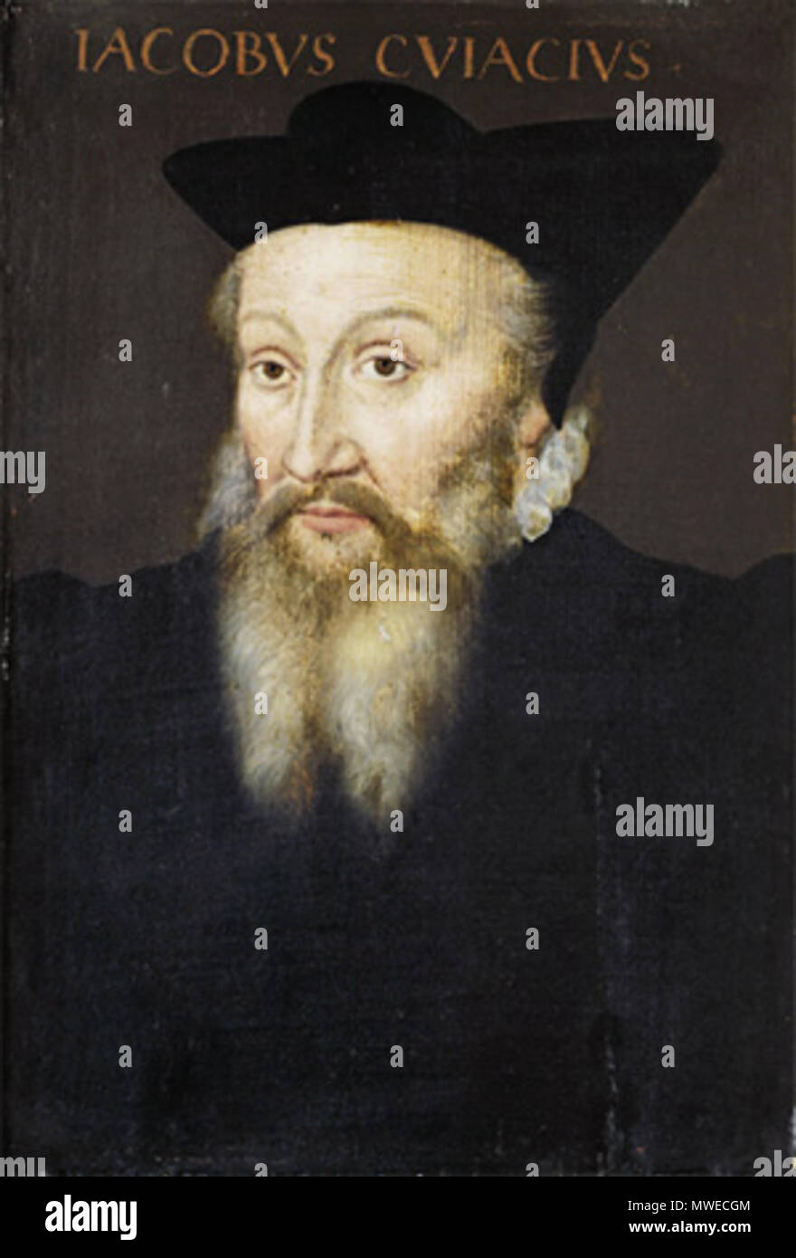 Portrait of jacques cujas hi-res stock photography and images - Alamy