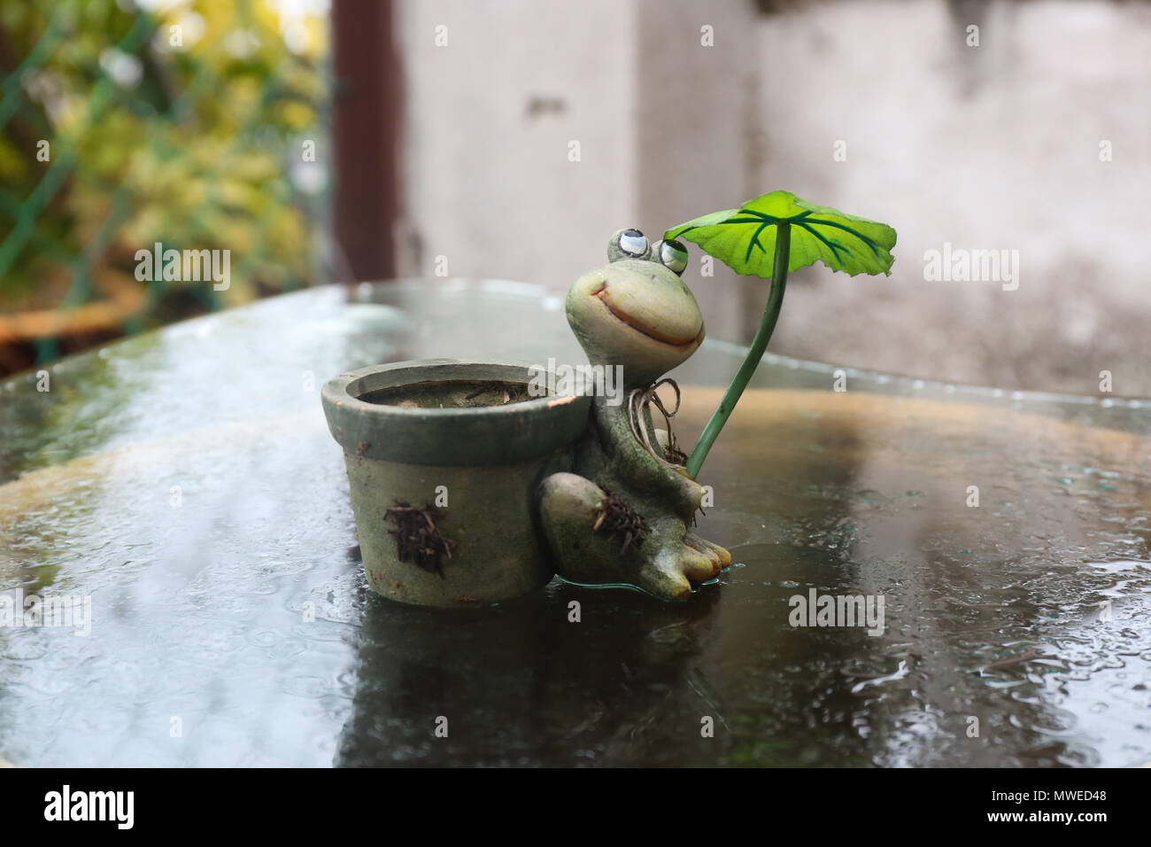 Cute Frog Deco With Leaf Umbrella Stock Photo - Alamy