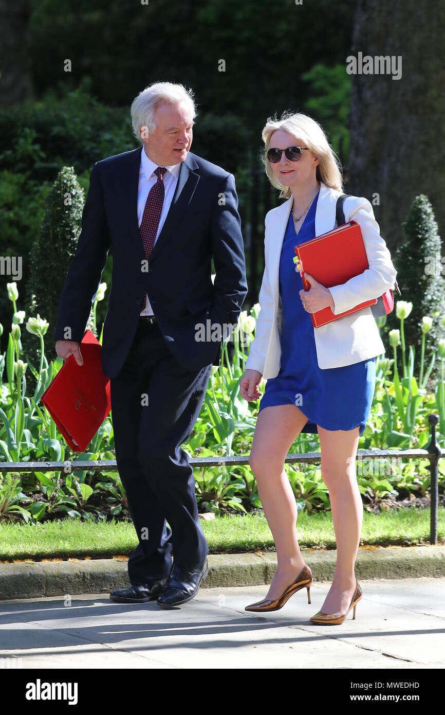 Ministers attend the weekly cabinet meeting at 10 Downing Street Featuring: David Davis ...