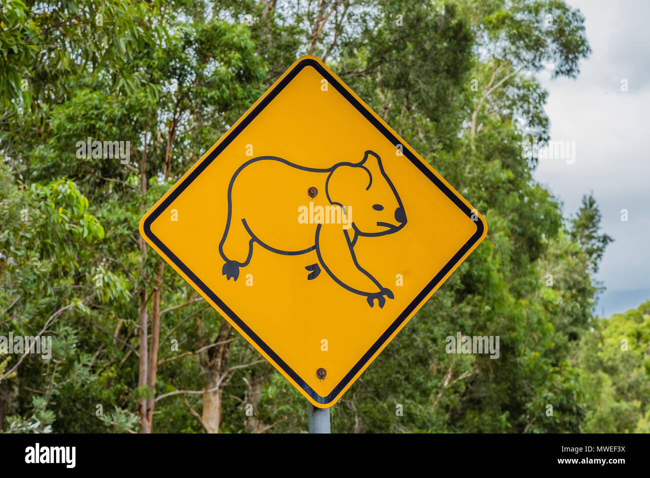 Koalas warning sign hi-res stock photography and images - Alamy