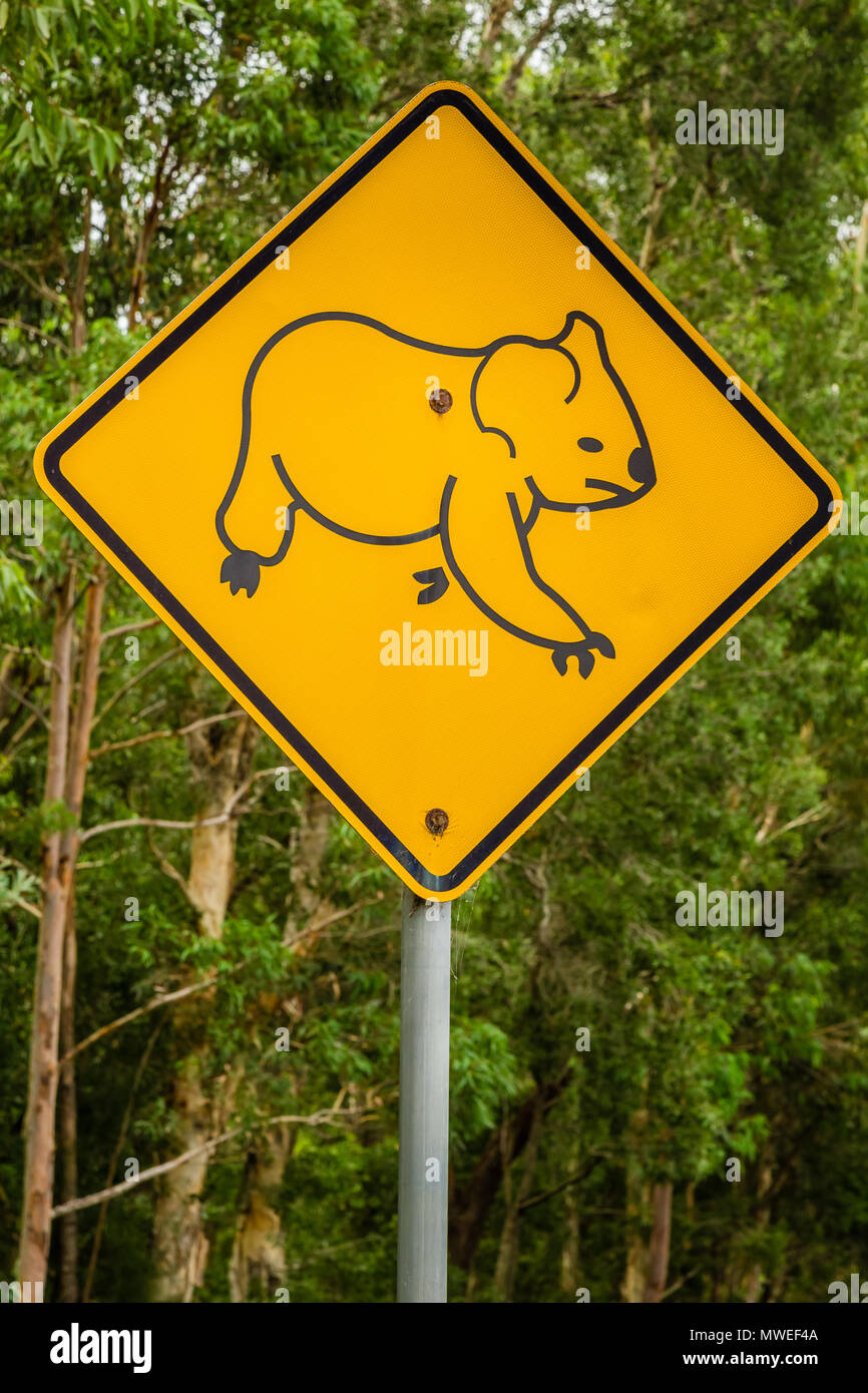 Koalas warning sign hi-res stock photography and images - Alamy