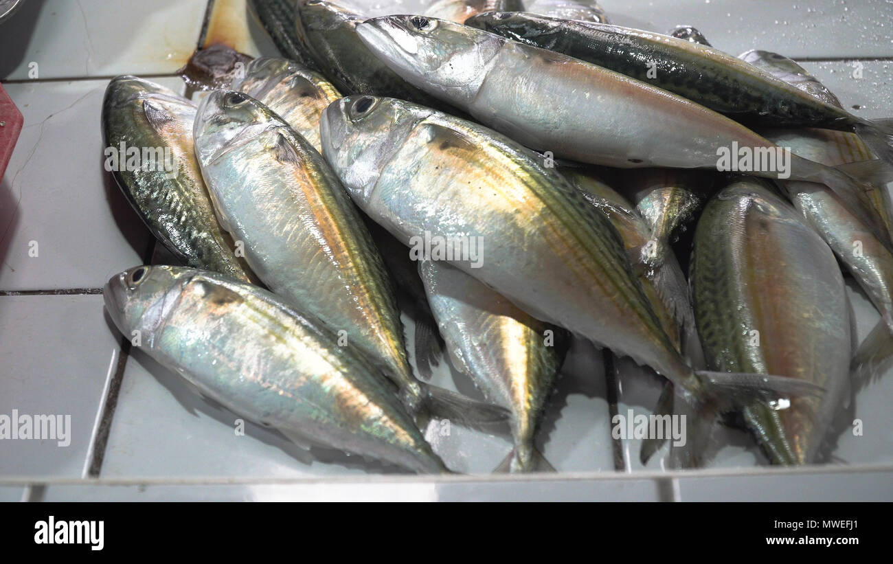 Fresh fish in Asian market. Sale of fresh sea fish in the Asian public ...