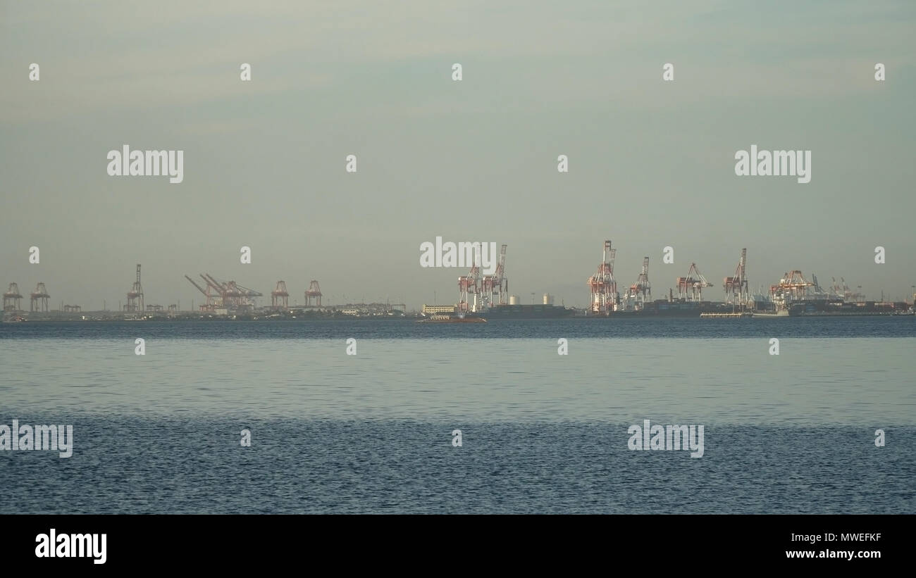 Industrial cargo port with ships and cranes. View of the cargo port and ...