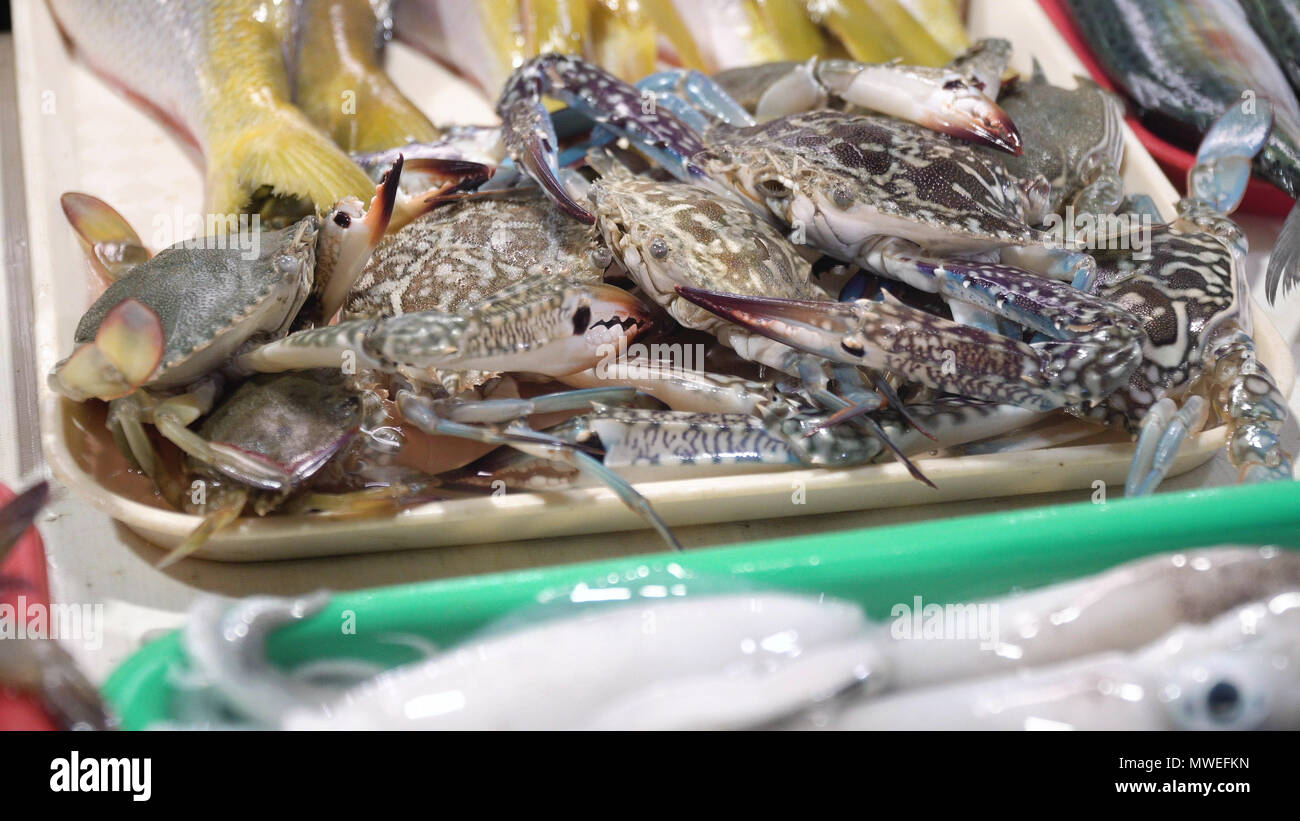 Fish Market Seafood Philippines High Resolution Stock Photography and Images - Alamy
