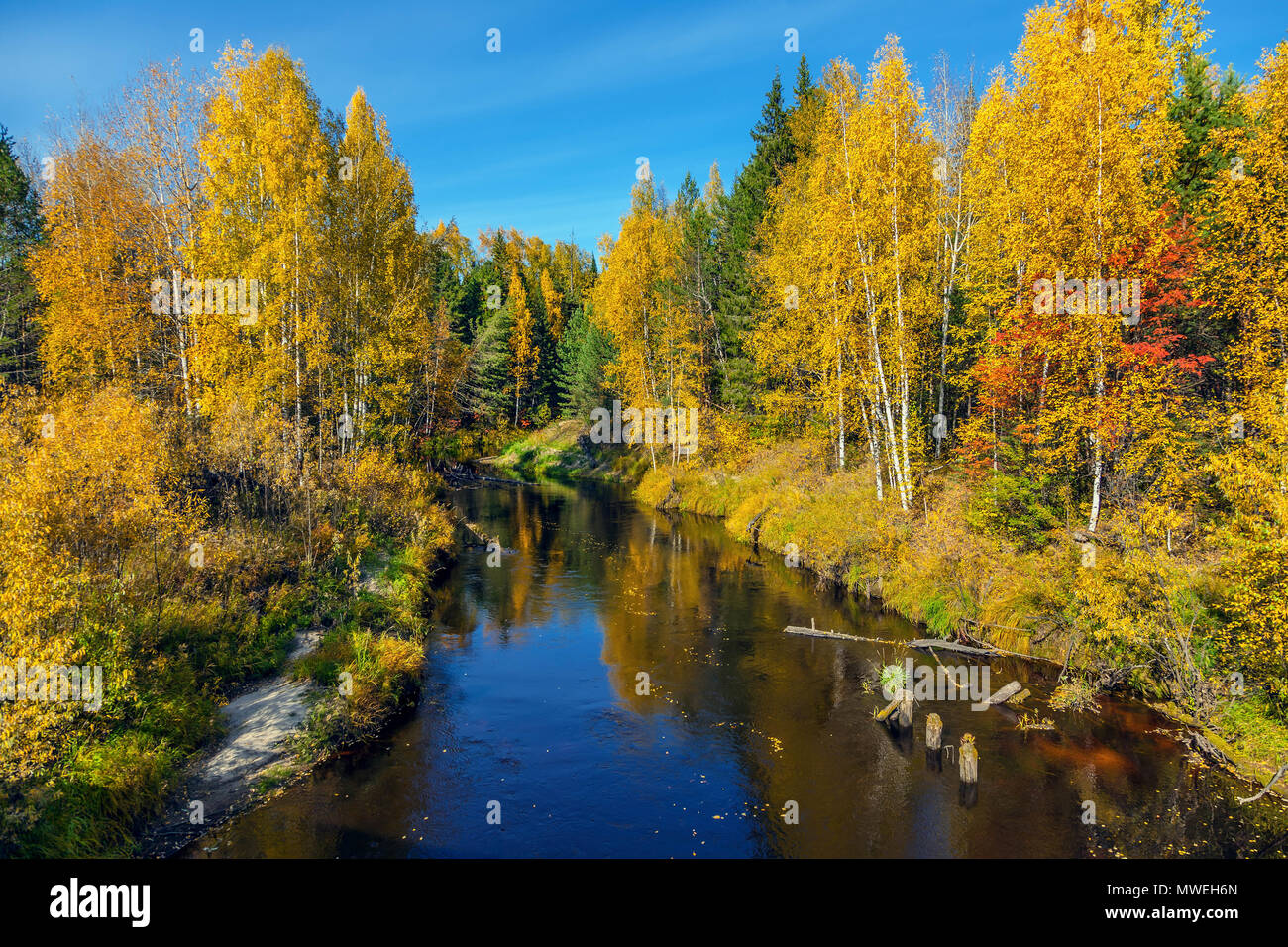 Siberia nature hi-res stock photography and images - Alamy