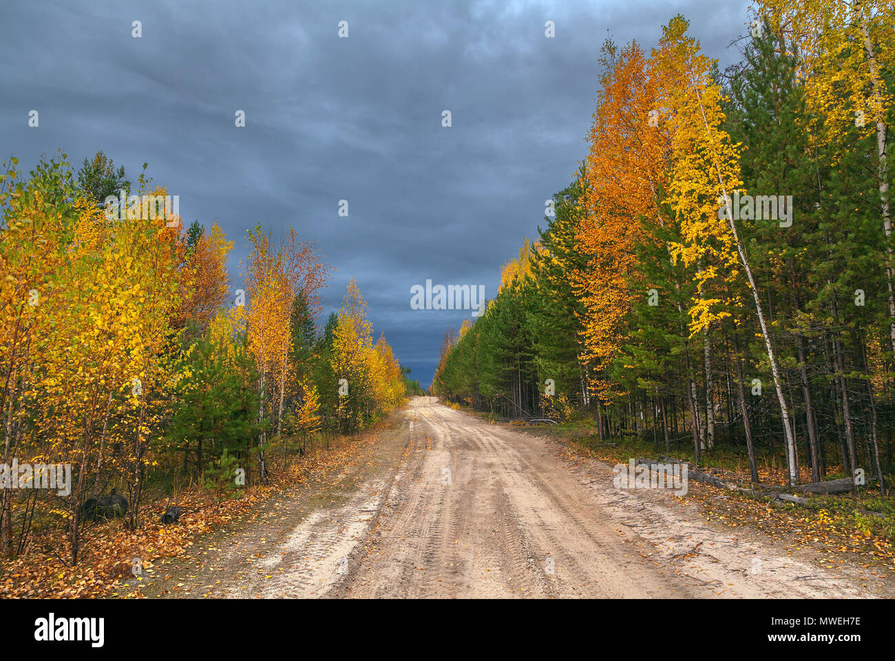 Autumn in Siberia Stock Photo - Alamy