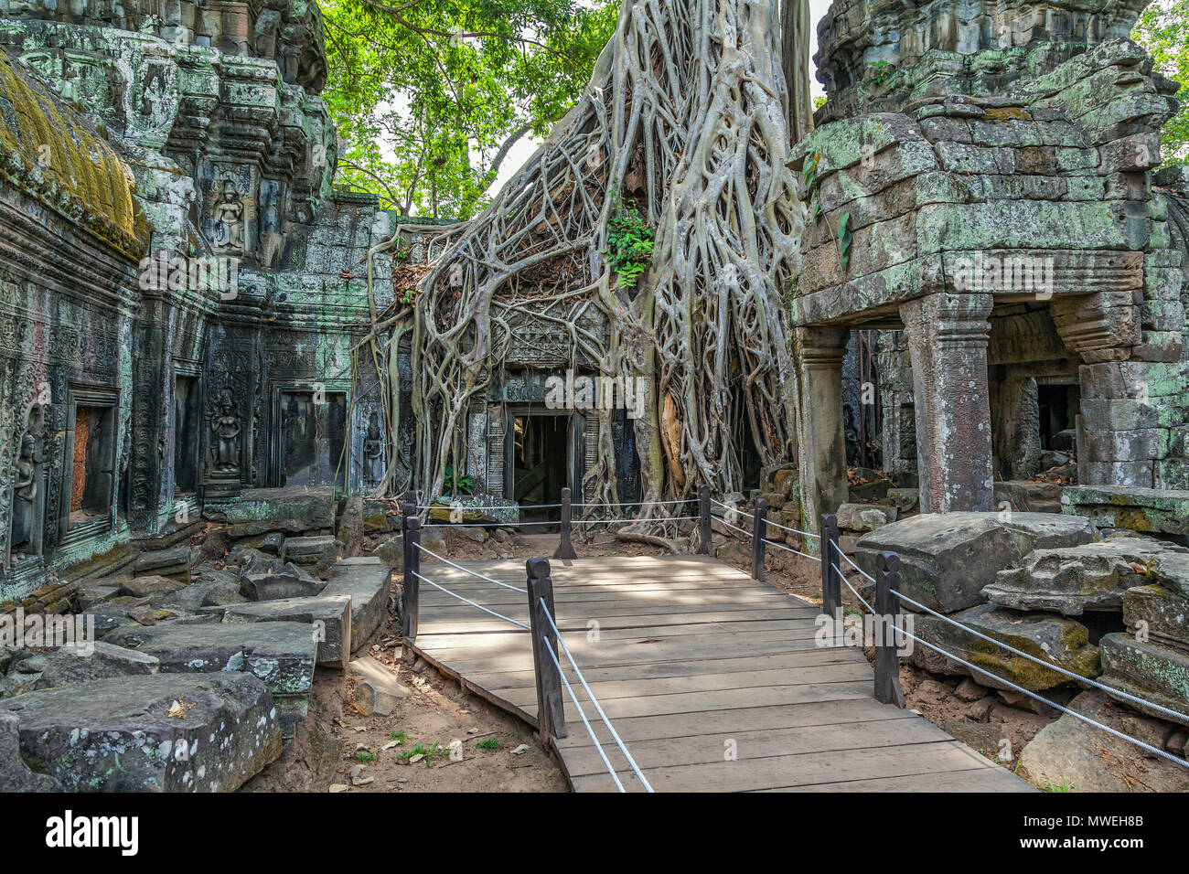 Ruins of the ancient Khmer temple of Ta Prohm Stock Photo - Alamy