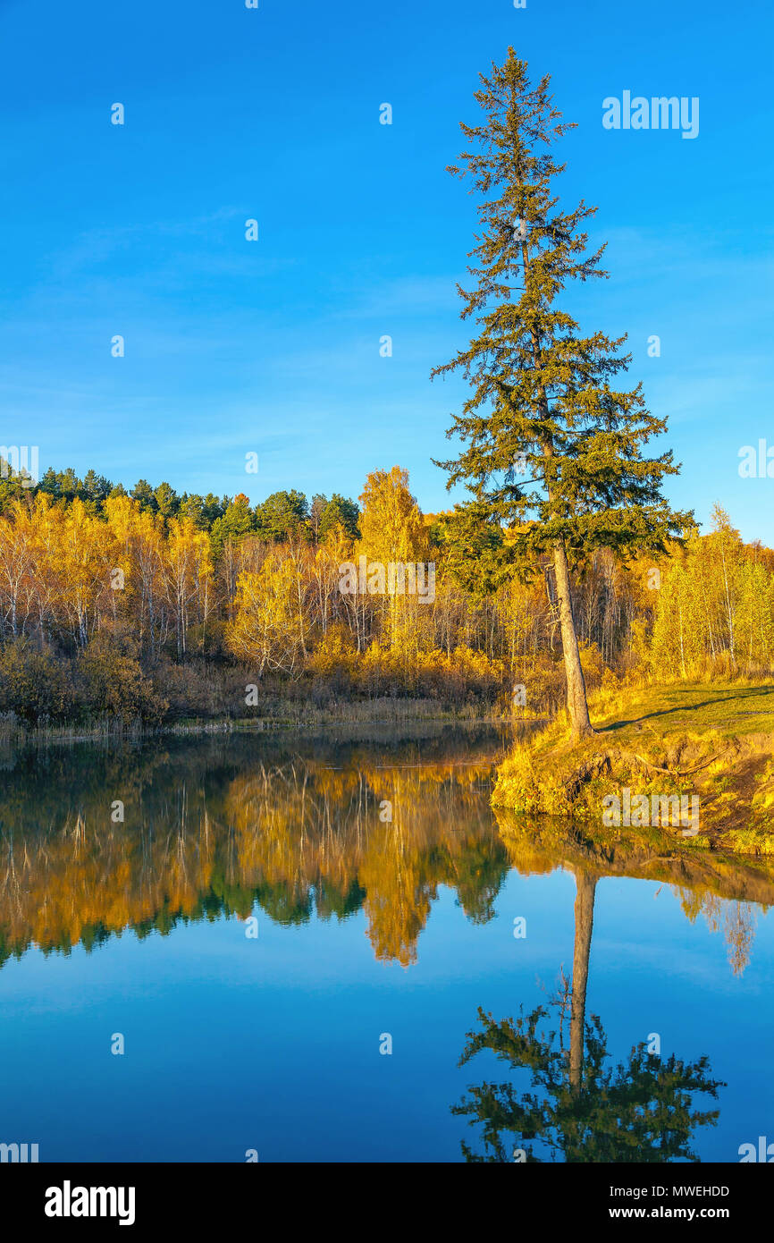 Autumn in Siberia Stock Photo - Alamy