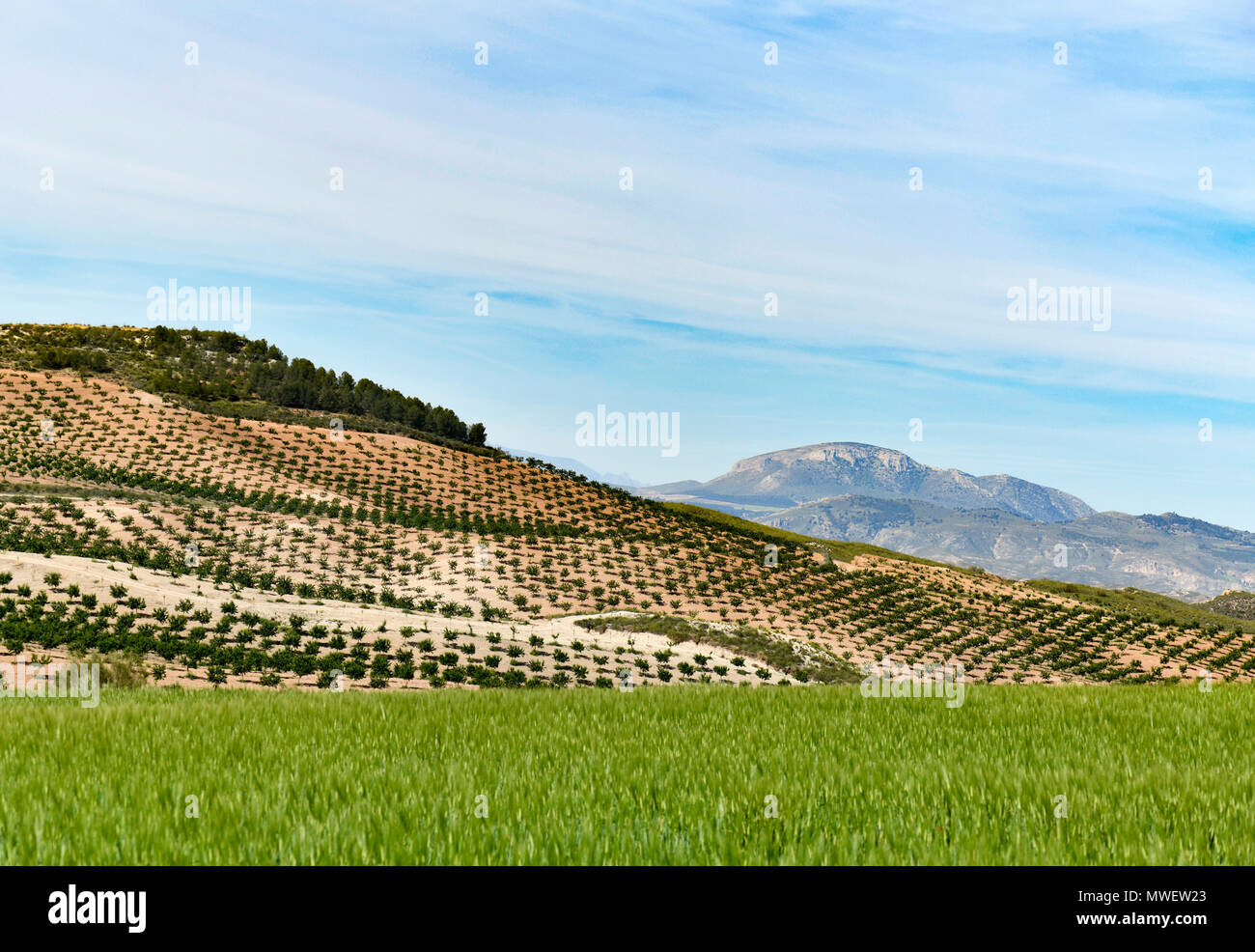 Andalucia and countryside hi-res stock photography and images - Alamy