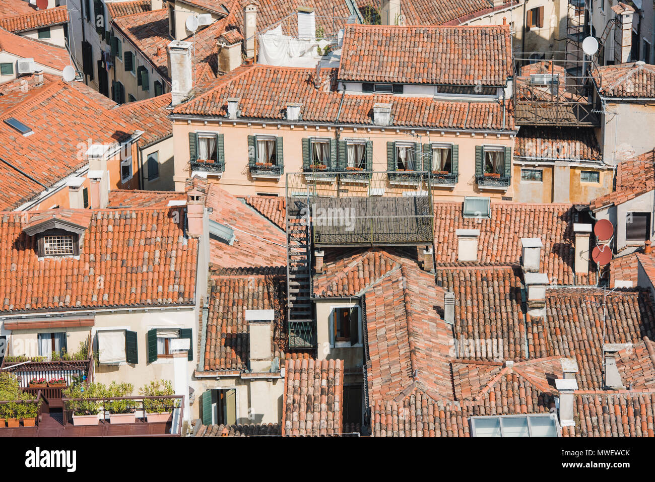 Venice panorama with the historical buildings and roofs Stock Photo - Alamy