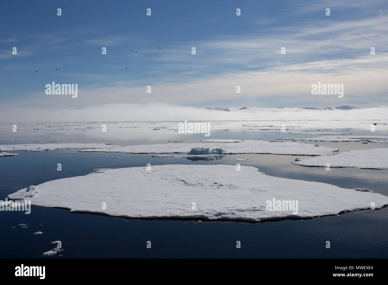 Sea ice in the Artic Ocean off the north coast of Spitsbergen, Svalbard ...