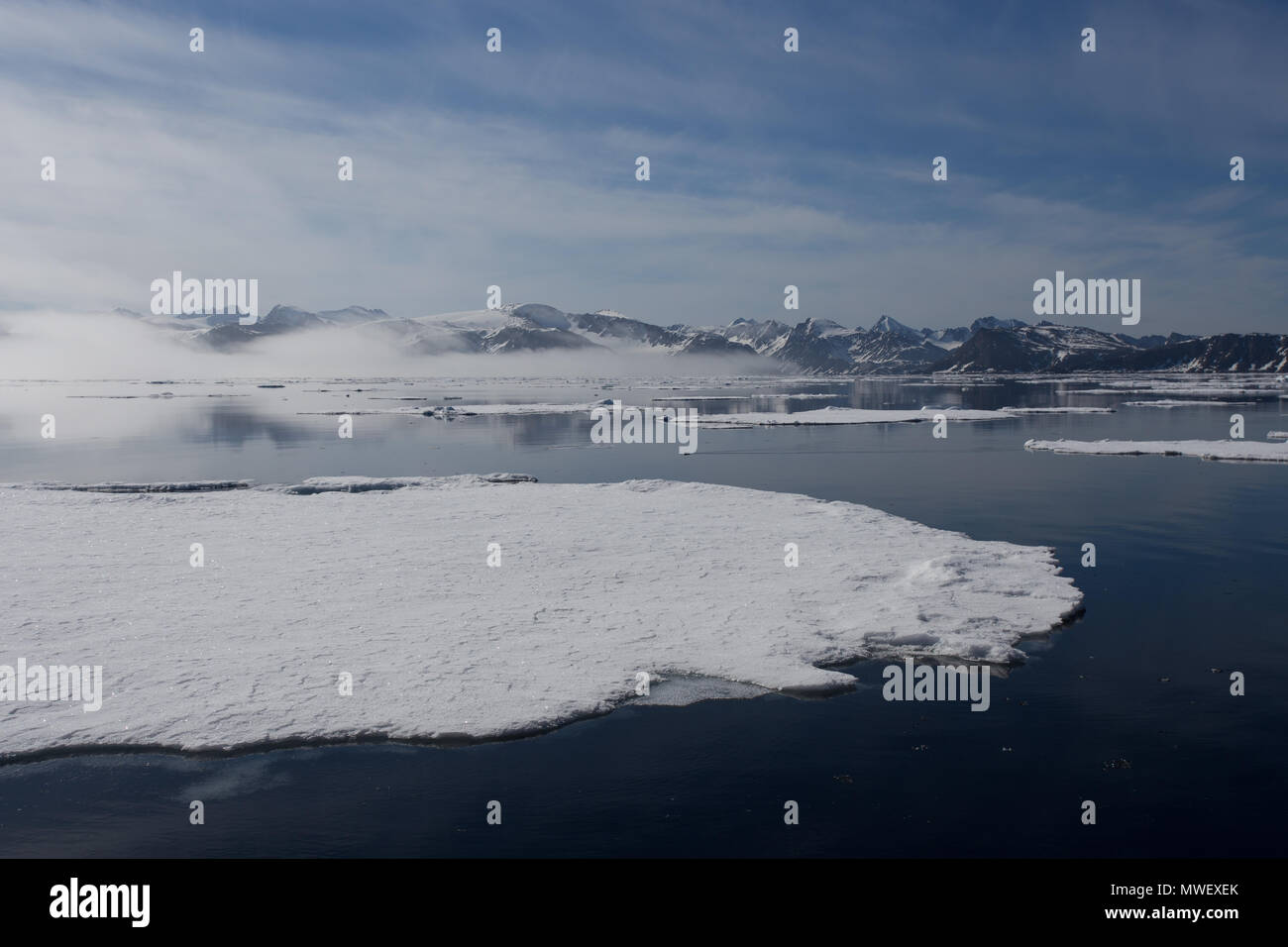 Sea ice in the Artic Ocean off the north coast of Spitsbergen, Svalbard ...