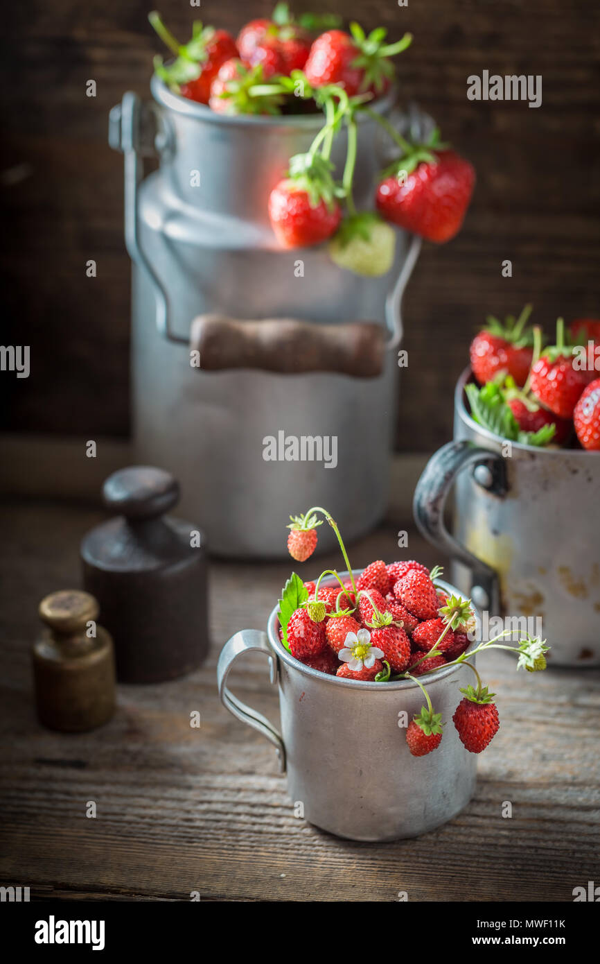 Ripe and sweet wild strawberries in the old metal mug Stock Photo - Alamy