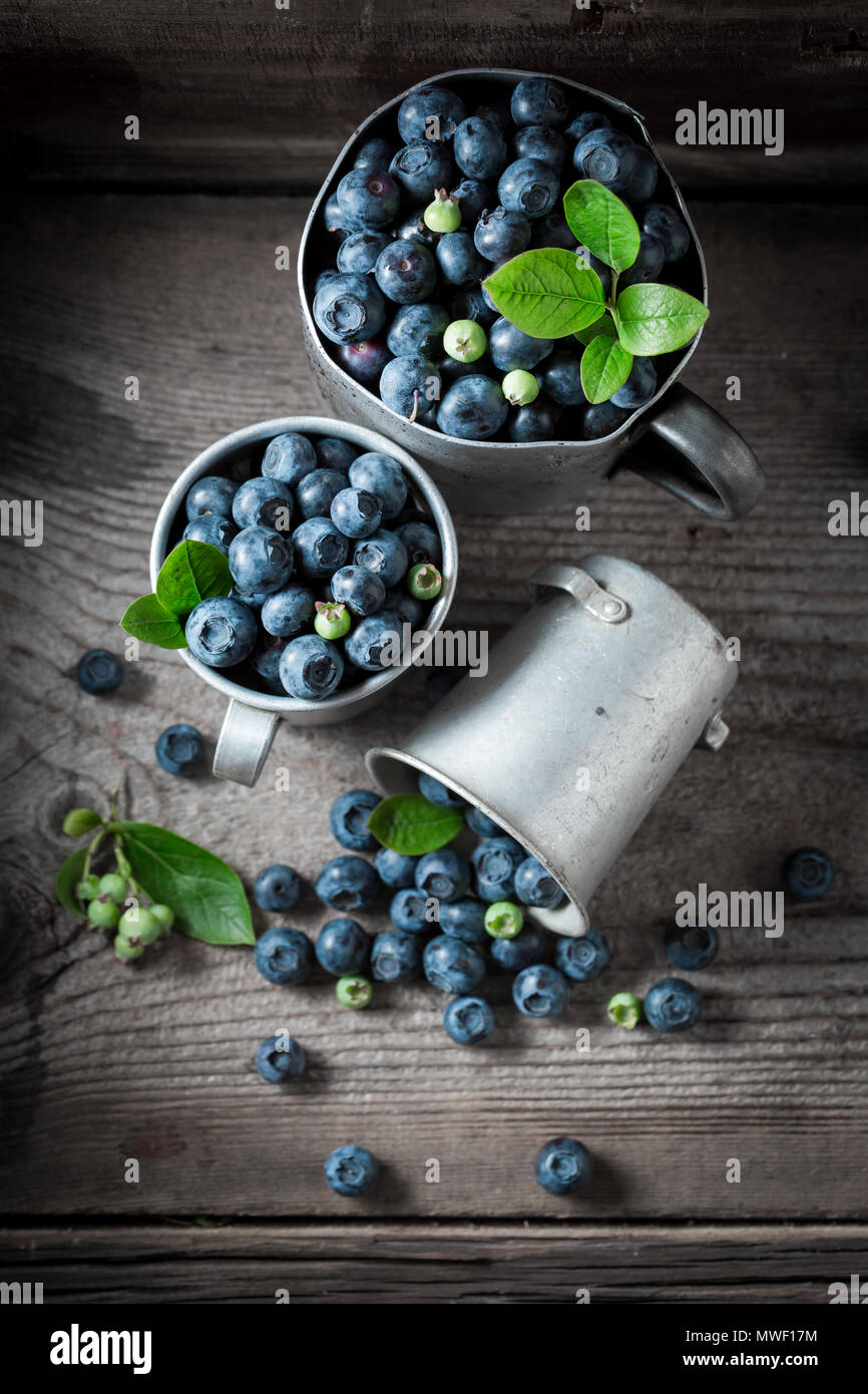 Top view of fresh blueberry in the old metal mug Stock Photo - Alamy