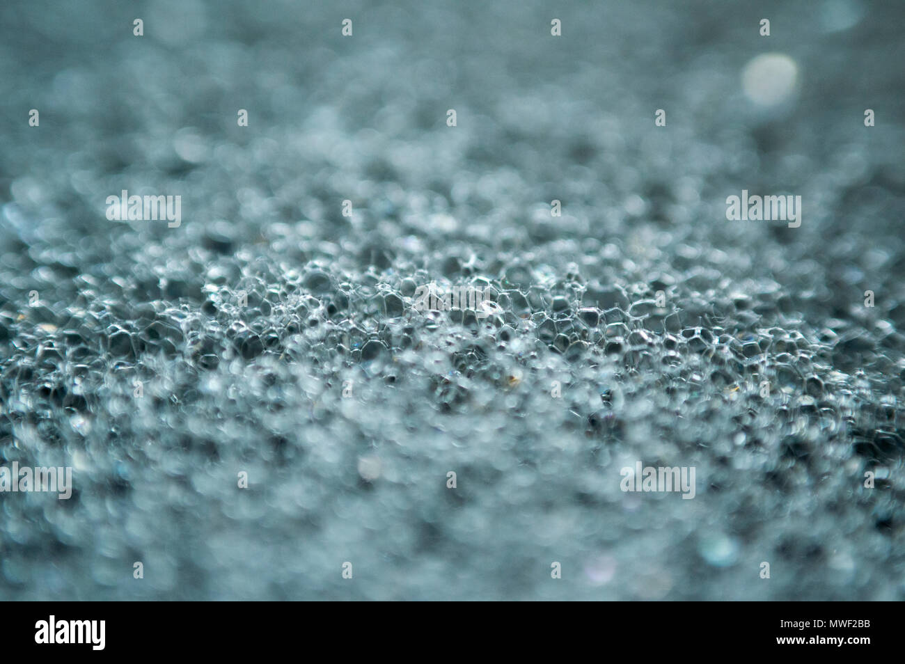 Tight focus hi-res stock photography and images - Alamy