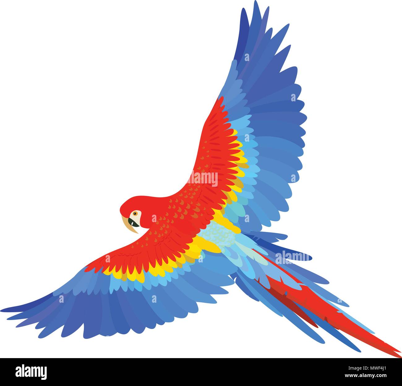 Ara Stock Vector Images - Alamy Ara Stock Vector Images - Alamy