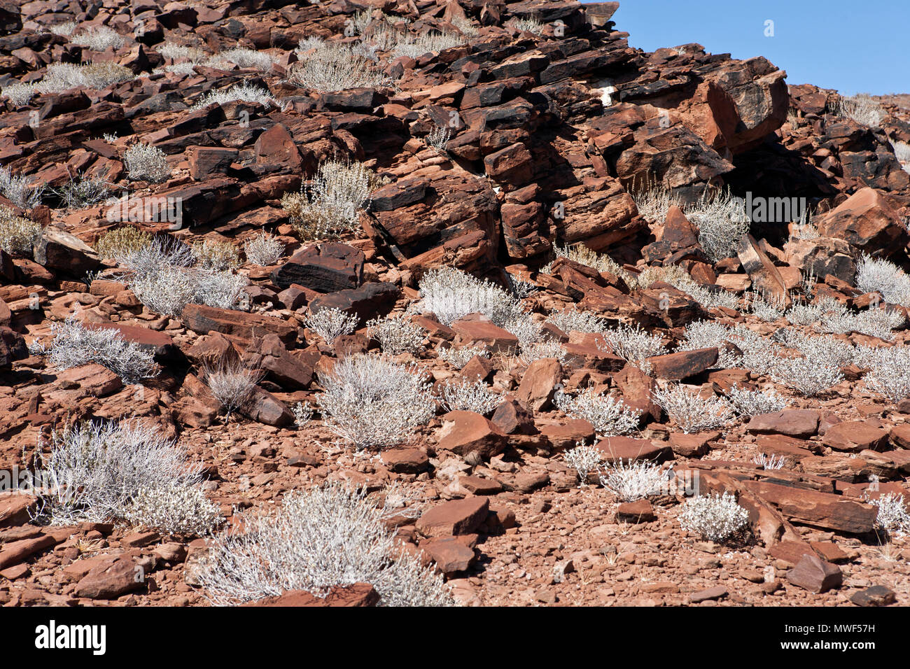 The Burnt Mountain is located couple kilometres from Twyfelfontein ...