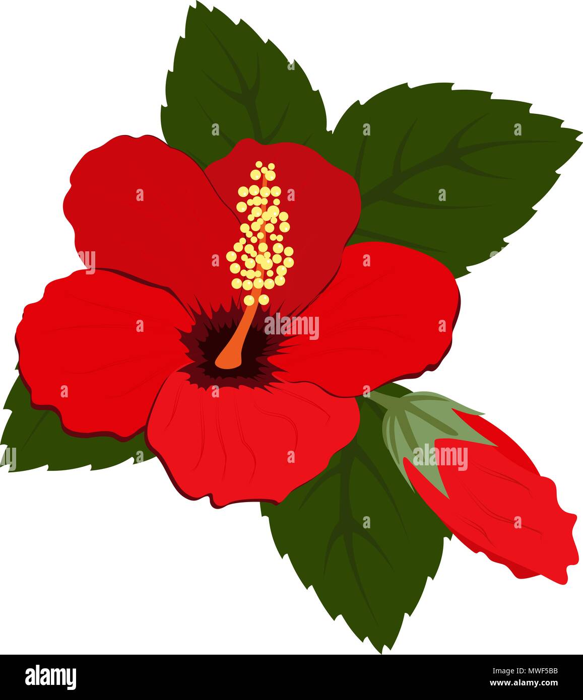 Red Hibiscus Flower Clip Art