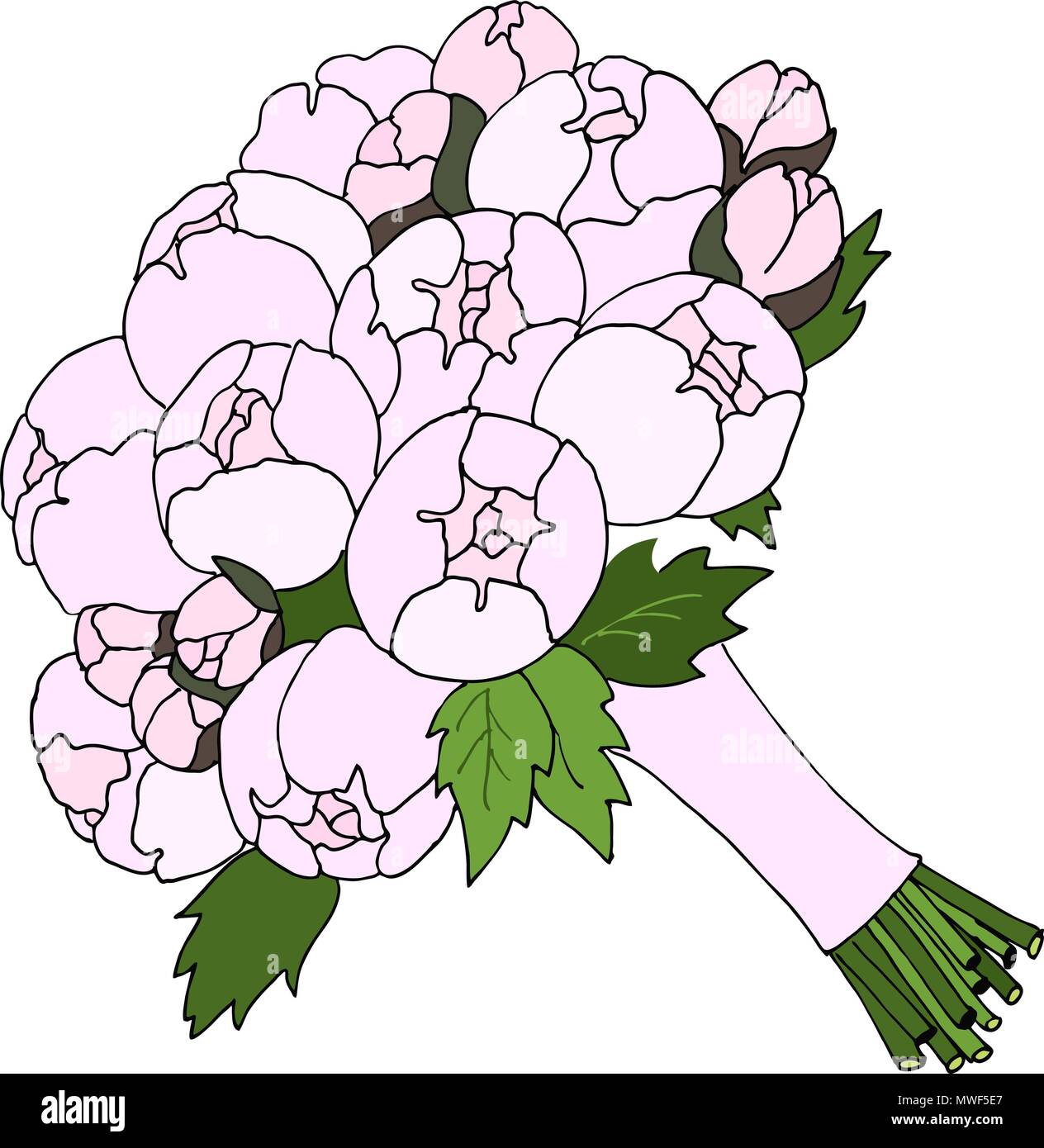 Delicate pink peony Stock Vector Images - Alamy