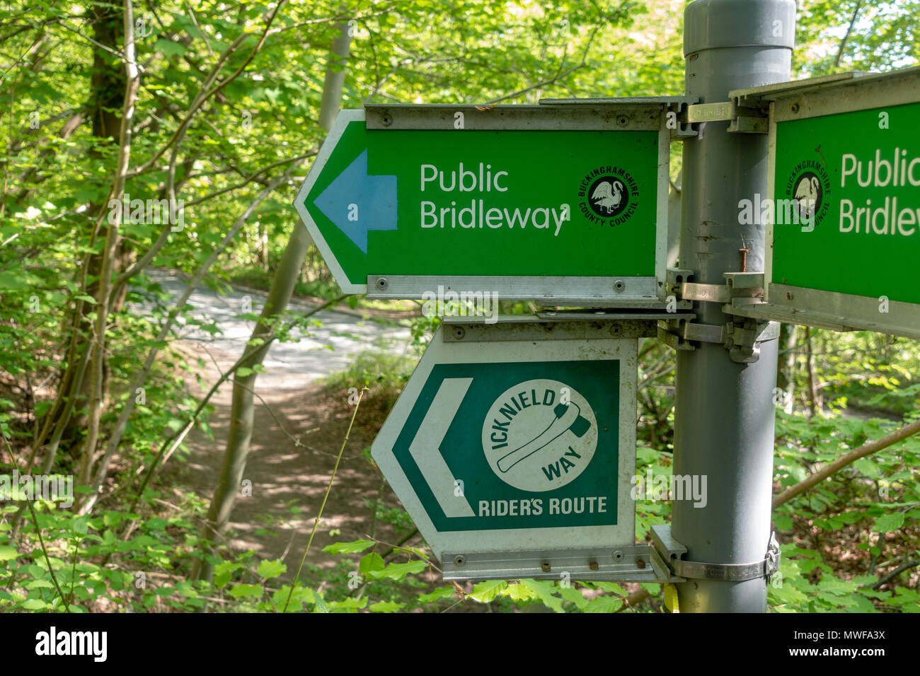 A public bridleway sign and one for a Riders Route on the Icknield Way ...