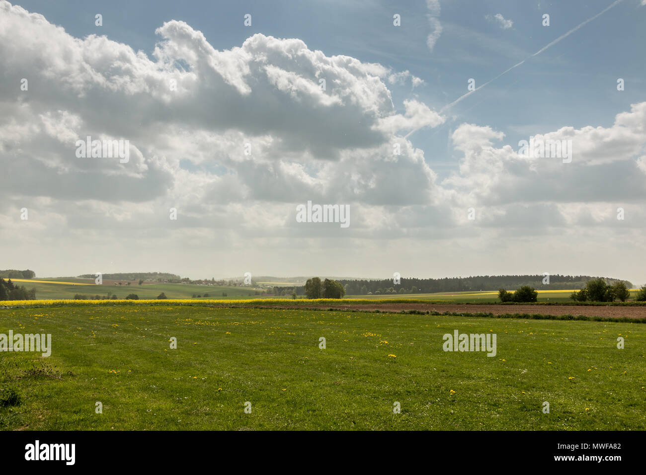 Big green meadows and fields of yellow rapeseed and the blue sky with ...