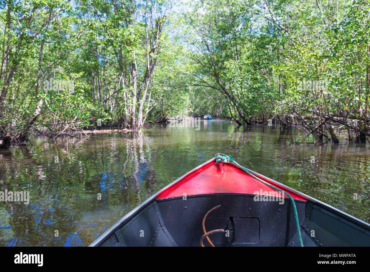 Itacare, Brazil - December 9, 2016: Canoe crossing a mangrove canal ...