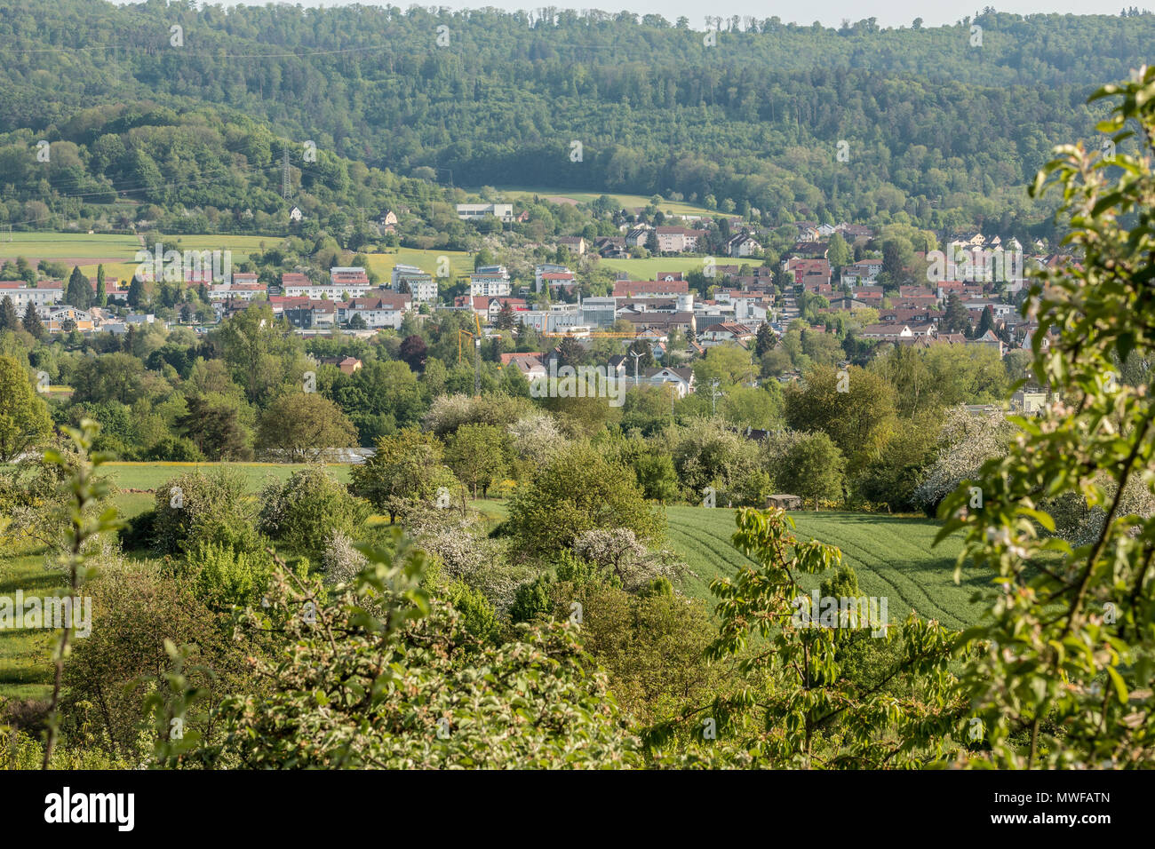 German village with forests, fields and meadows Stock Photo - Alamy