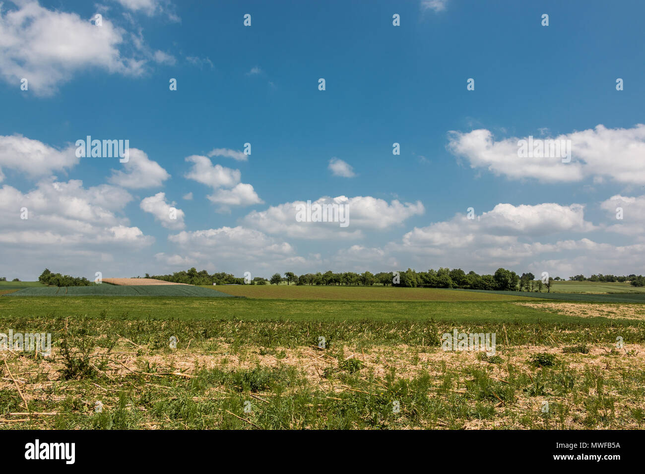 German countryside with forests, fields and meadows Stock Photo - Alamy