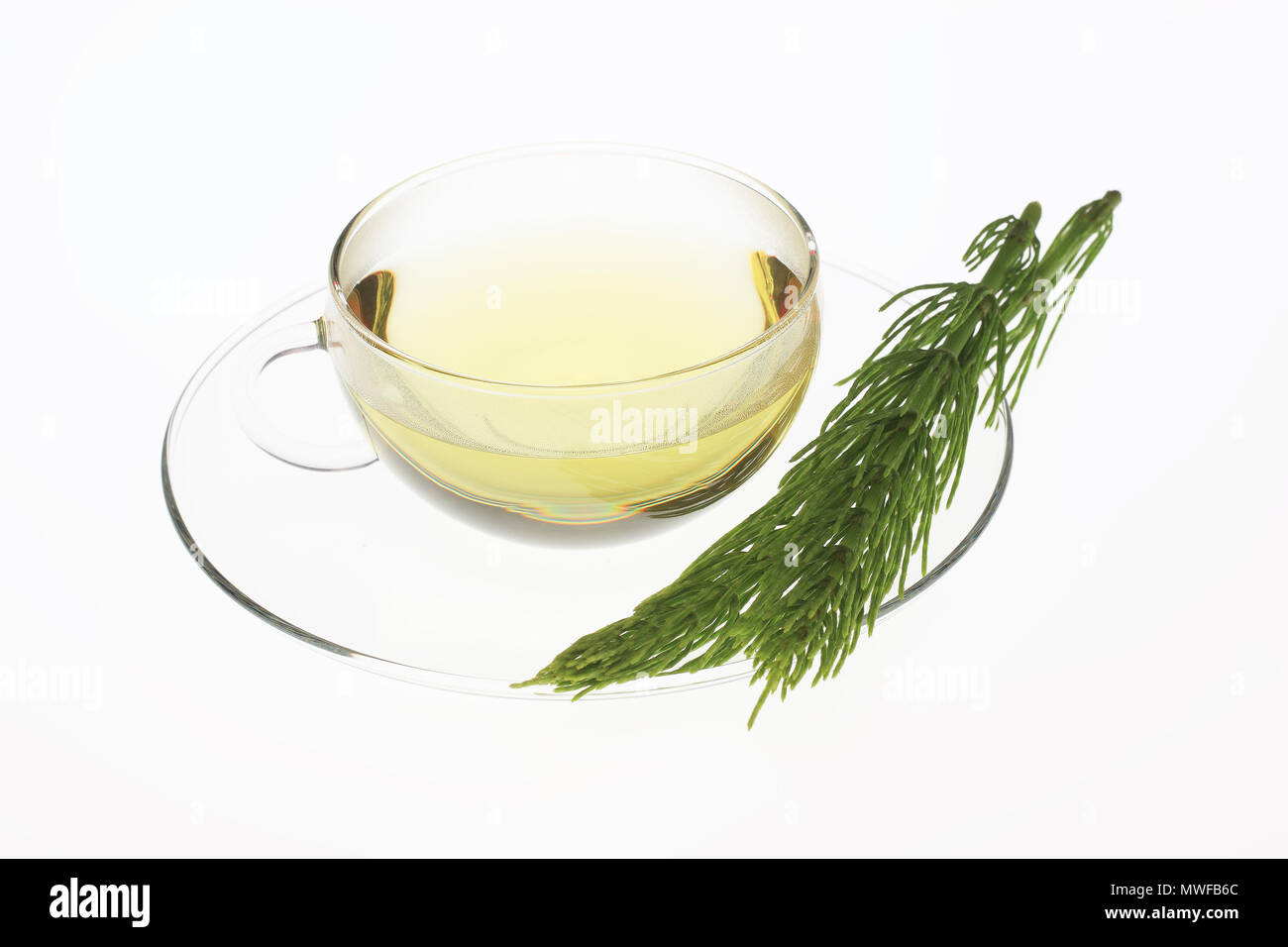 Horsetailtea, Tea, Medicinal tea, herbtea, Medicinal plant, Equisetum ...