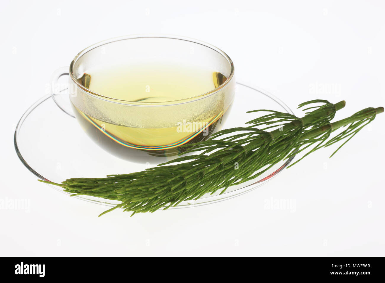 Horsetailtea, Tea, Medicinal tea, herbtea, Medicinal plant, Equisetum ...
