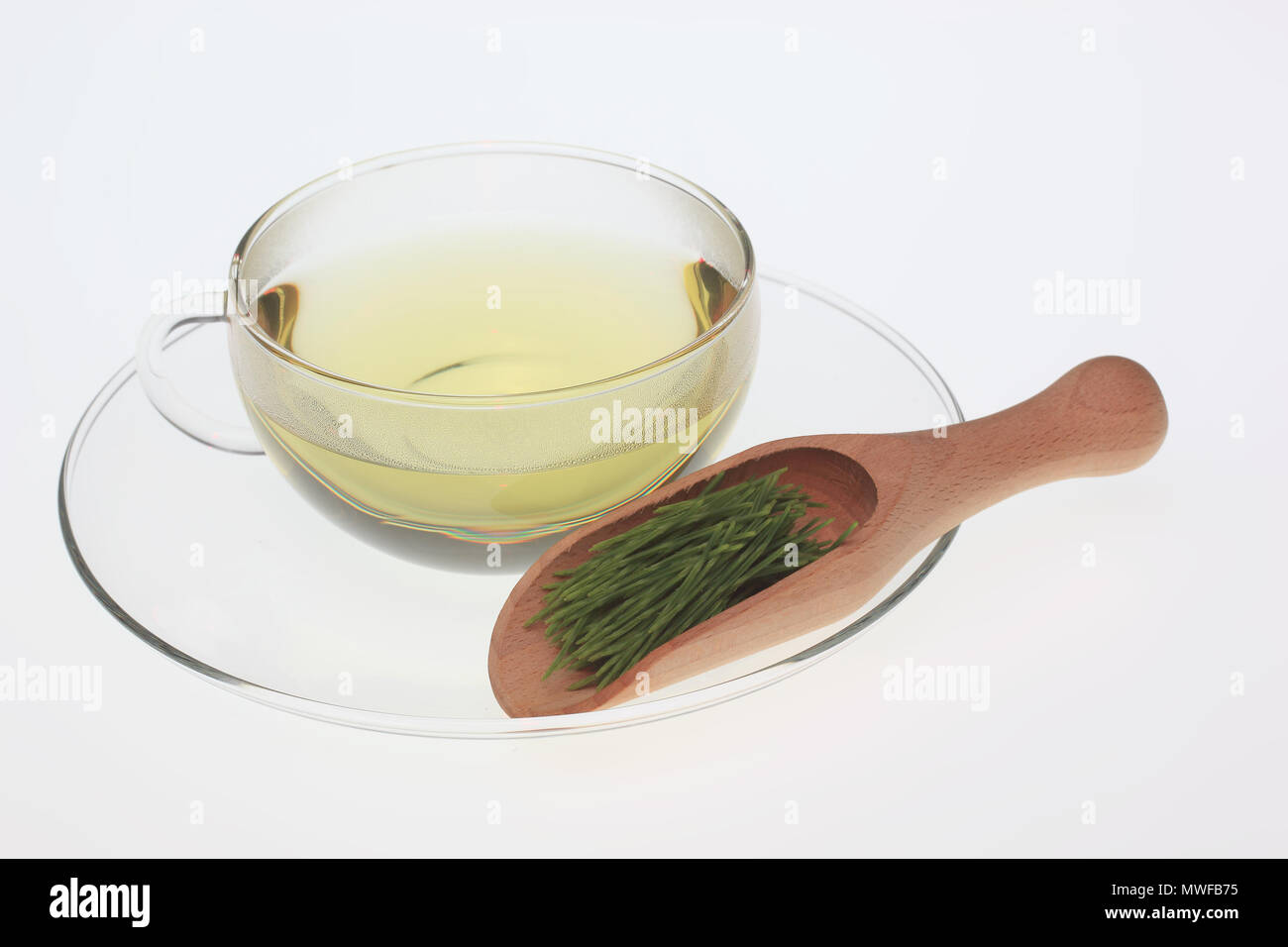 Horsetailtea, Tea, Medicinal tea, herbtea, Medicinal plant, Equisetum ...