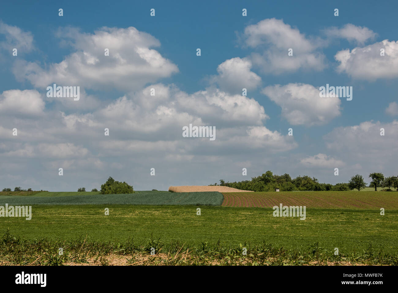 German countryside with forests, fields and meadows Stock Photo - Alamy