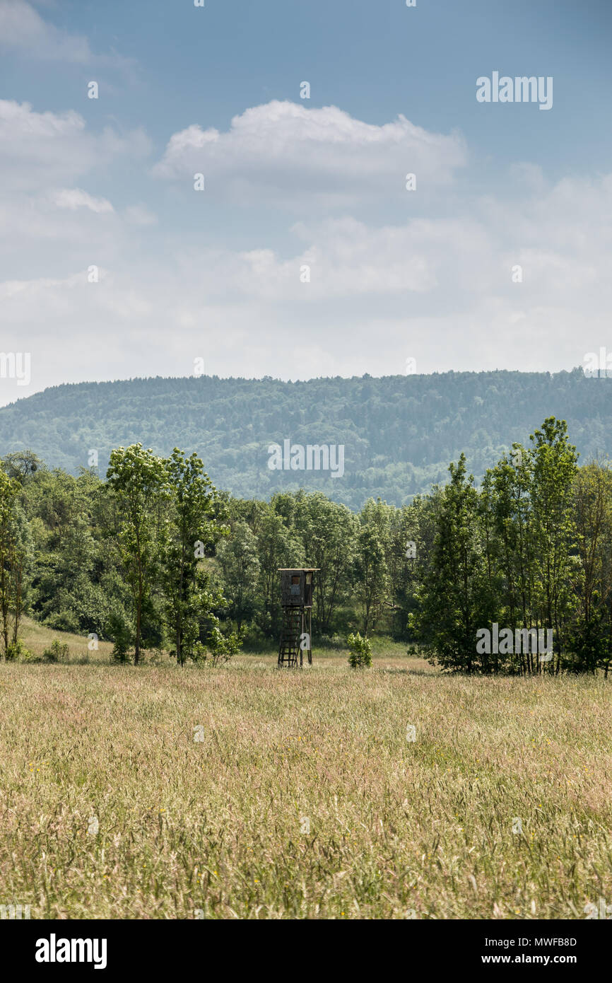 German countryside with forests, fields and meadows Stock Photo - Alamy