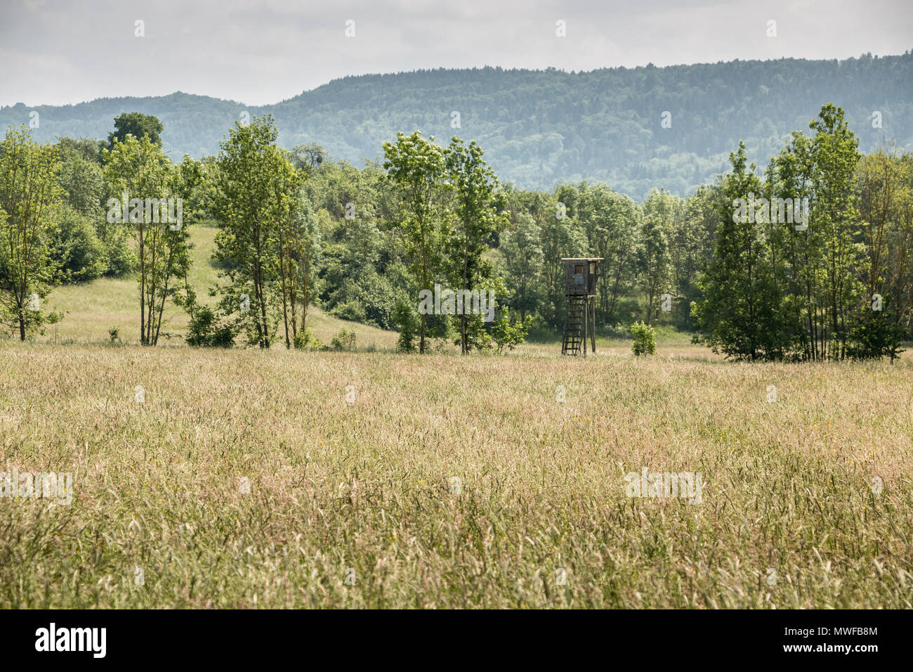 German countryside with forests, fields and meadows Stock Photo - Alamy