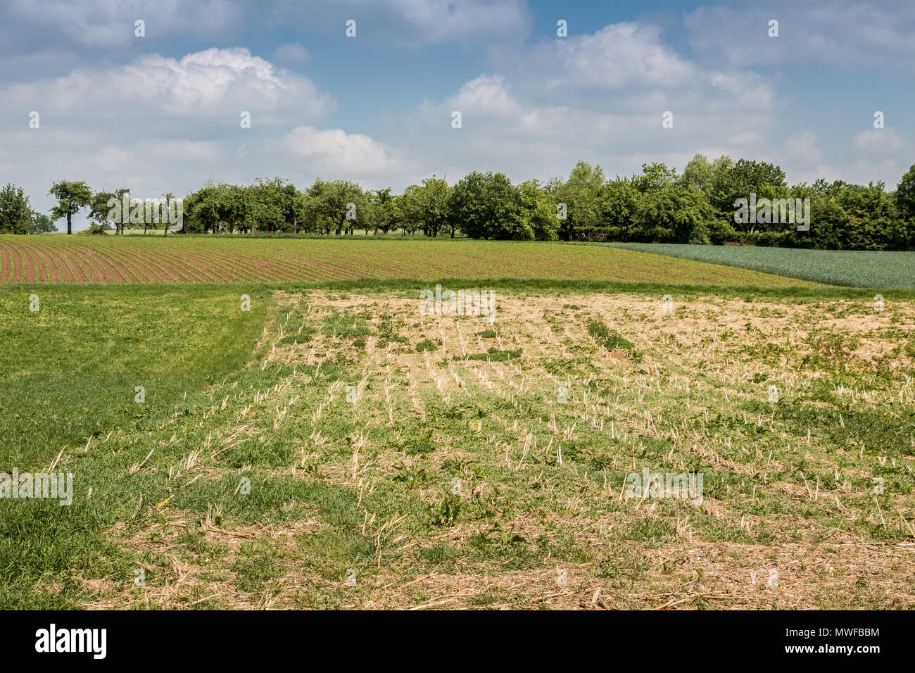 German countryside with forests, fields and meadows Stock Photo - Alamy