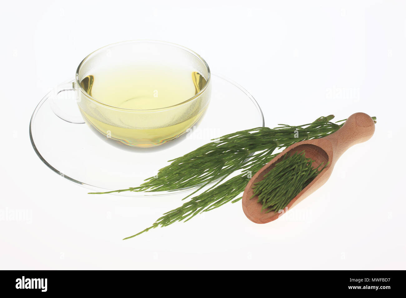 Horsetailtea, Tea, Medicinal tea, herbtea, Medicinal plant, Equisetum ...