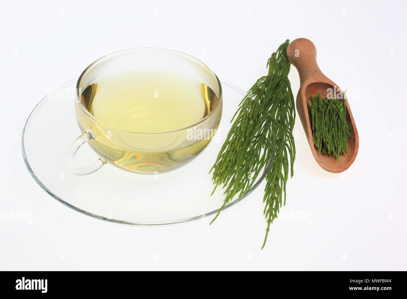 Horsetailtea, Tea, Medicinal tea, herbtea, Medicinal plant, Equisetum ...