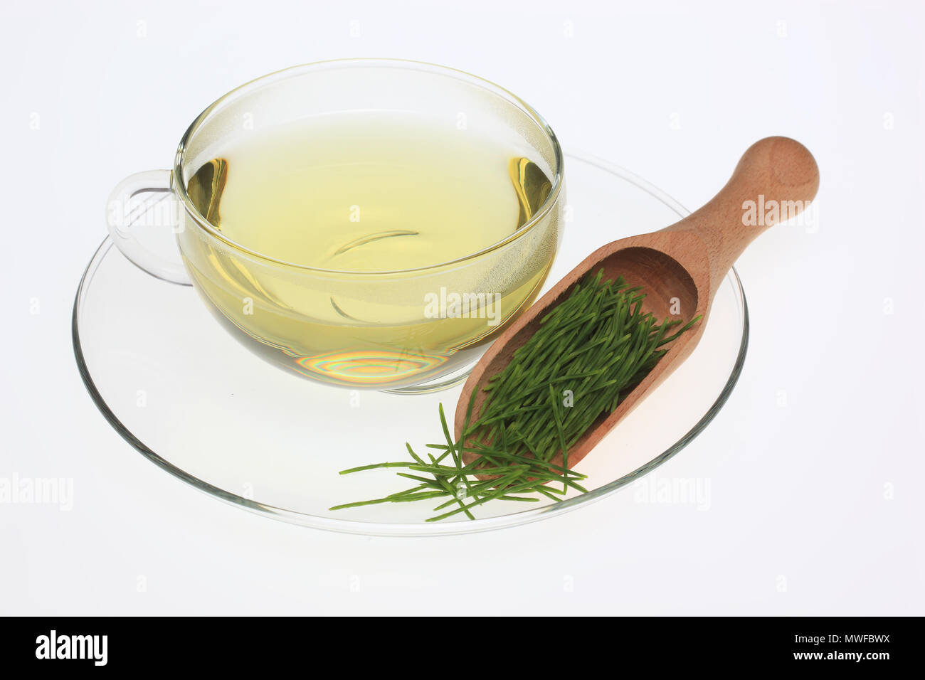Horsetailtea, Tea, Medicinal tea, herbtea, Medicinal plant, Equisetum ...