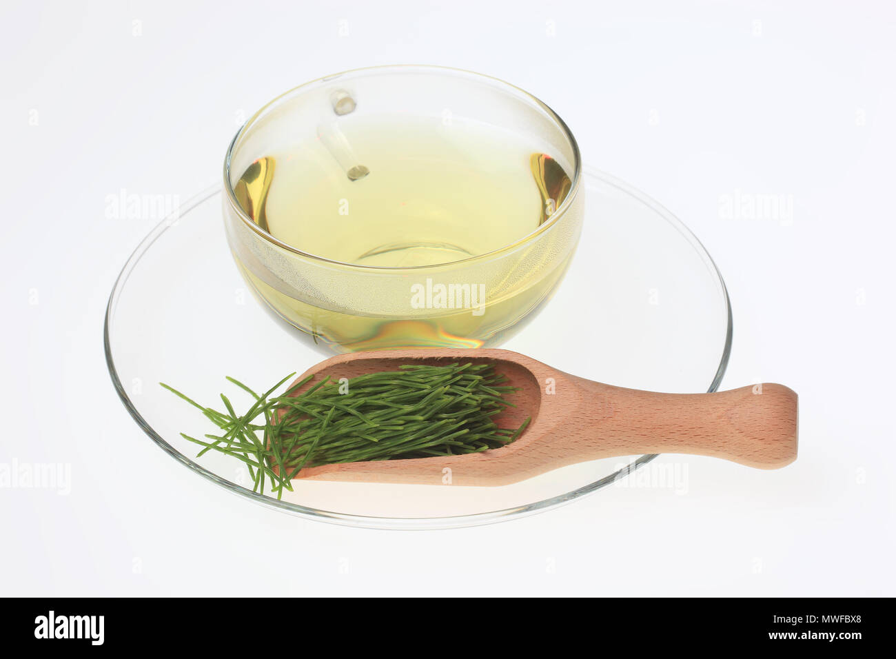 Horsetailtea, Tea, Medicinal tea, herbtea, Medicinal plant, Equisetum ...