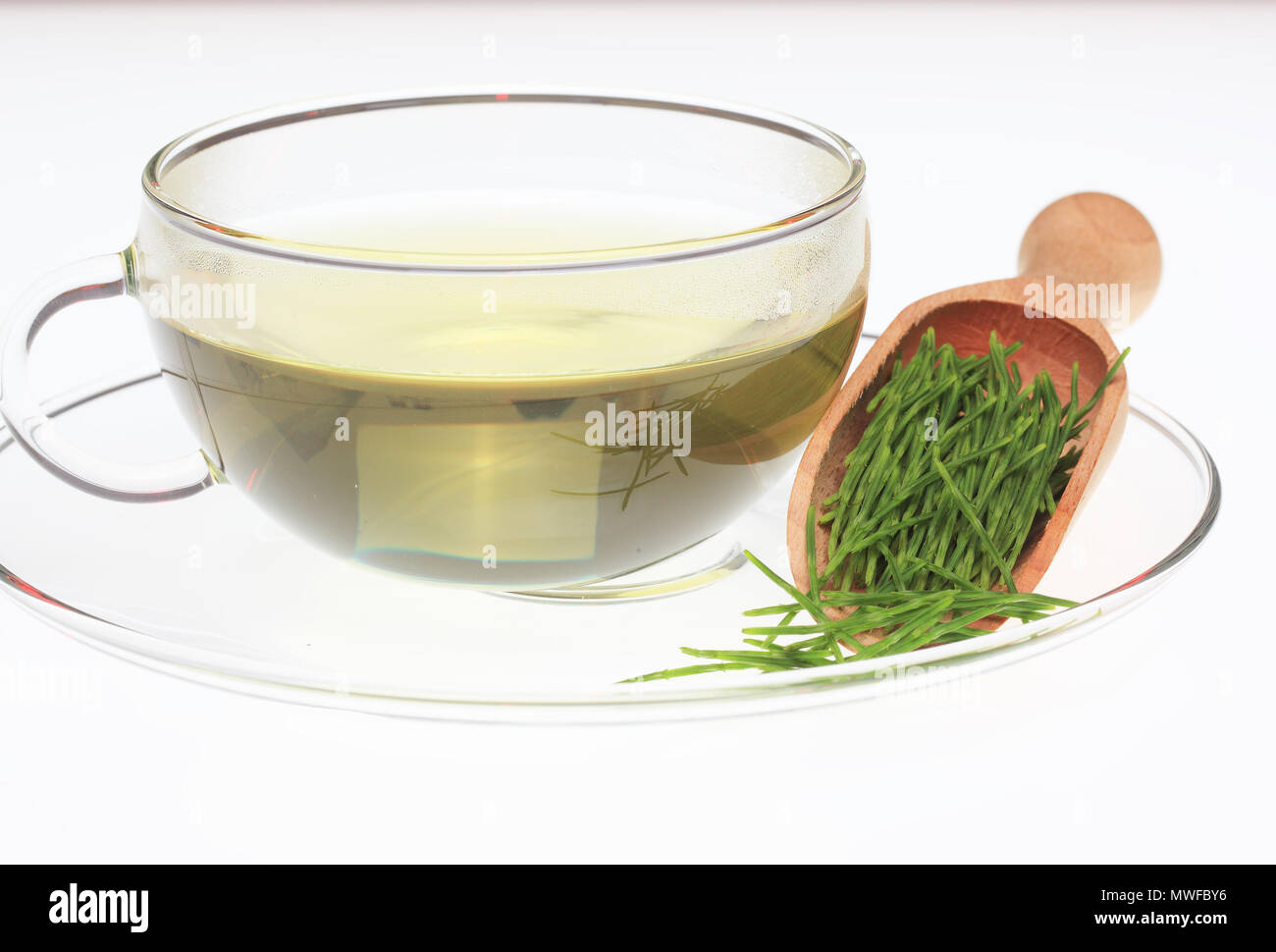 Horsetailtea, Tea, Medicinal tea, herbtea, Medicinal plant, Equisetum ...