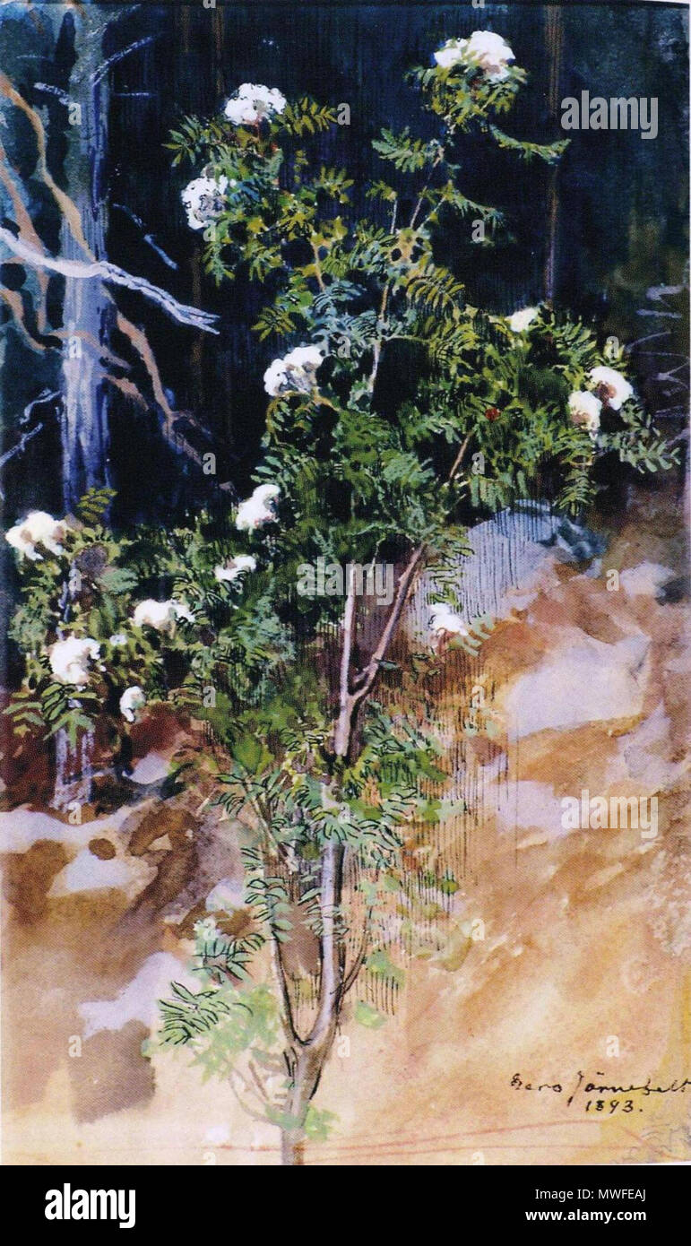 Pihlaja High Resolution Stock Photography and Images - Alamy