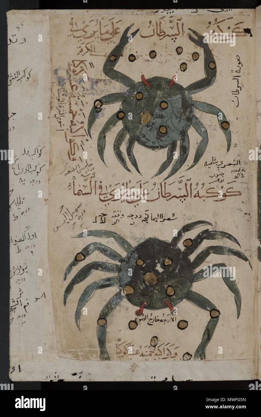 Constelación de cáncer hi-res stock photography and images - Alamy